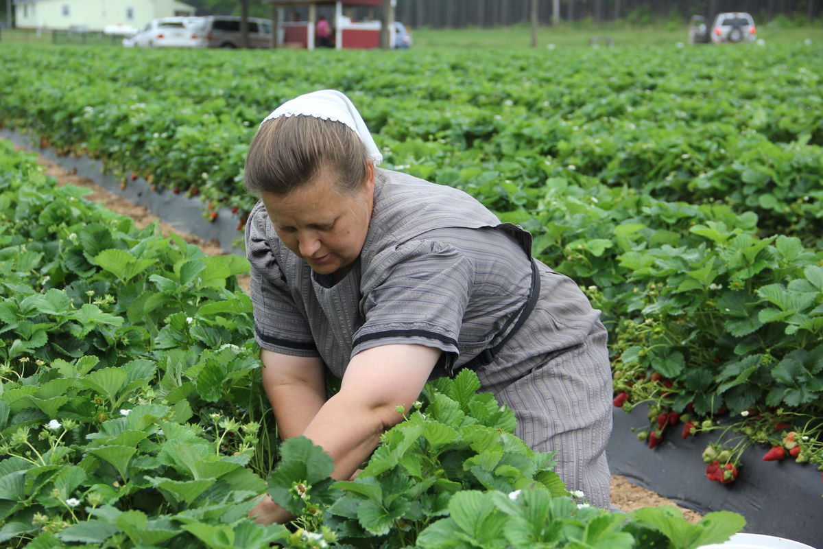 Photos – Ariel Gilreath